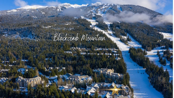 Peak-a-boo Mtn View Ski-in-out | 3hottubs+netflix - Whistler Blackcomb