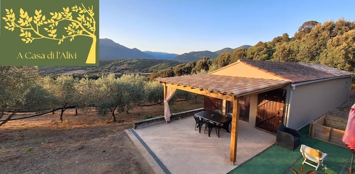 "A Casa Di L'alivi" - Sartène