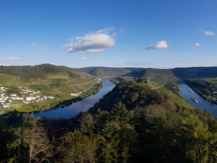 Ferienwohnung Weingeist - Zell (Mosel)