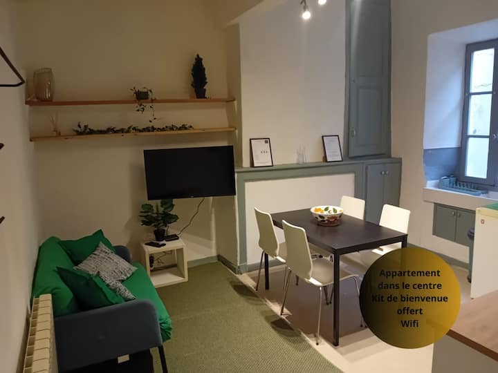 Le Damier*appartement*centre-ville*chambre*séparé - Quillan