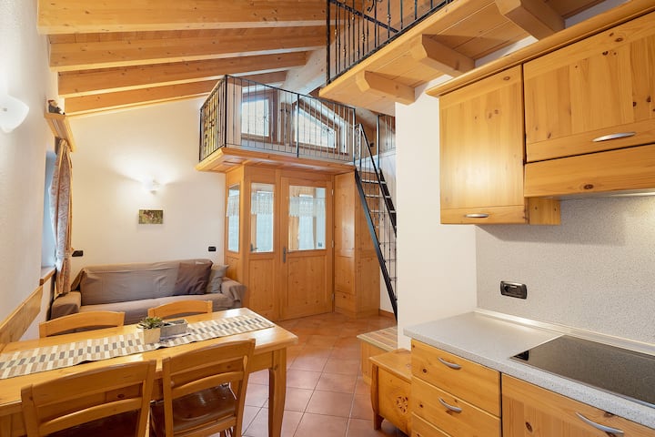 Coccinella 1 - Livigno