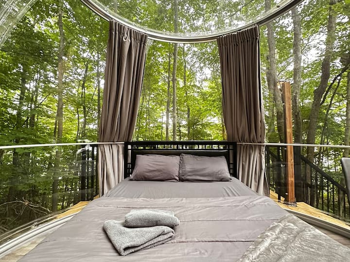 Studio Capsule House In Parry Sound #32 - Parry Sound