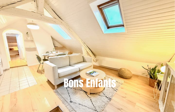 Bons Enfants - T3 à 2 Min De La Cathédrale - Orléans