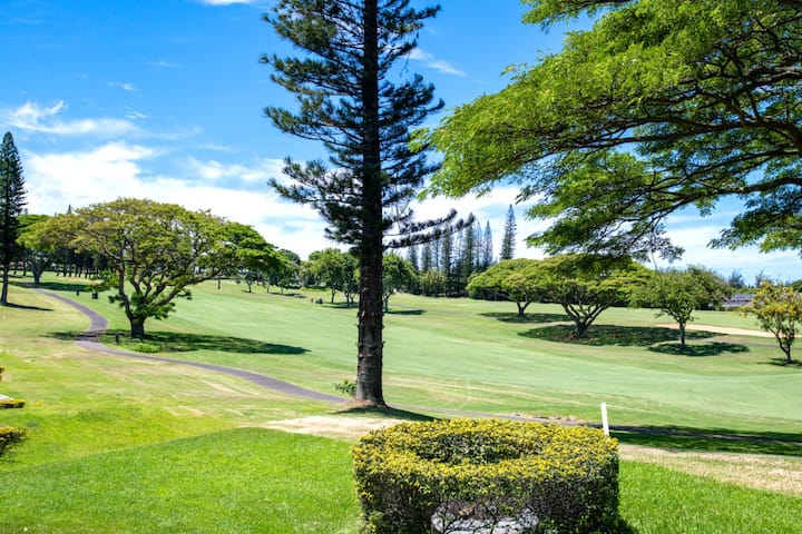 Kapalua Golf | 3 Free Cars By Kbm | Ml-2225 - Maui