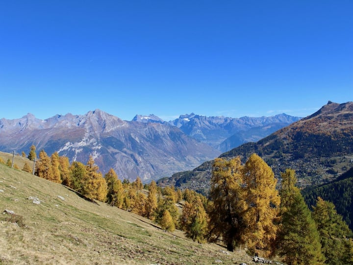 Appartement De Bon Goût Avec Balcon - Verbier