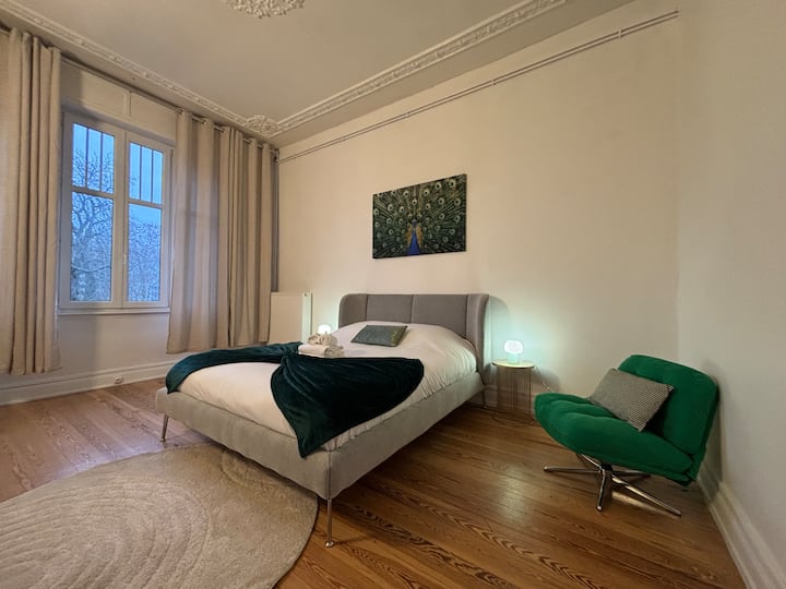 Luxurious Central Apartment Strasbourg Center - Strasbourg