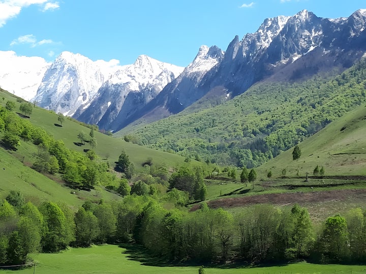 Chalet Cosy Vallée D’aspe - Vallée d'Aspe