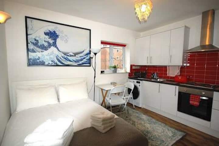 Cosy, Modern Studio Apartment N4 (St4) 10mins Tube - City And Islington College - Sixth Form College