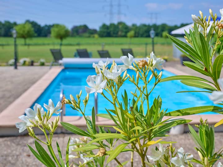 Maison De Vacances Au Calme Avec Belle Piscine - Oisterwijk