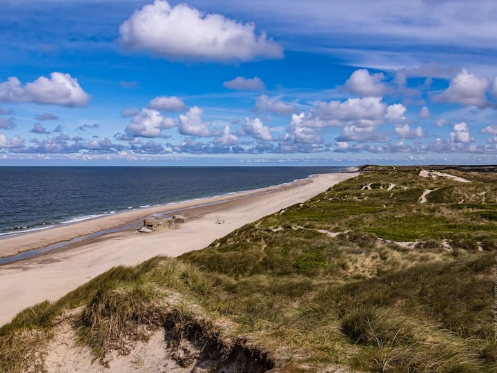 Maison De Vacances Pour 12 A Ulfborg-by Traum - Denmark