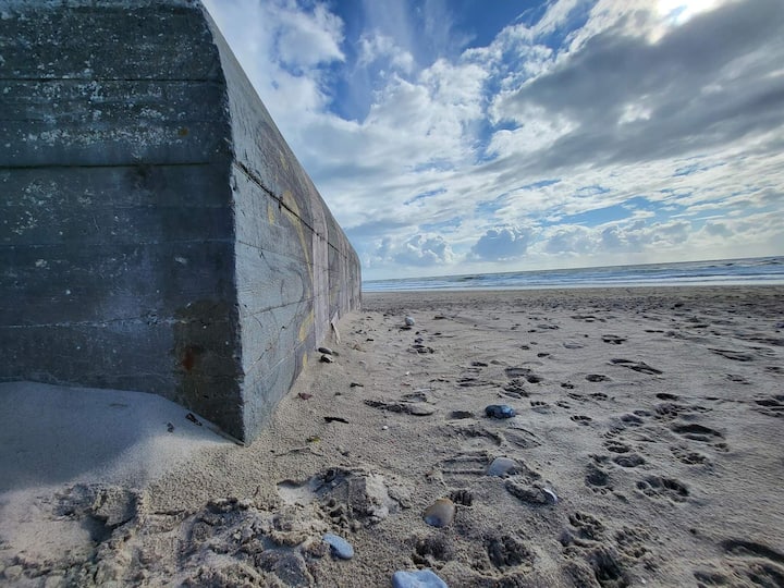 Maison De Vacances Pour 10 A Ulfborg-by Traum - Thorsminde