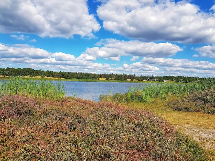 Maison De Vacances Pour 10 A Oksbøl-by Traum - Vejers Strand