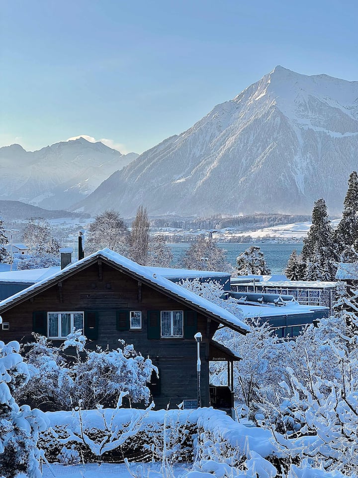 Lake And Mountain View Villa With Whirlpool And Fr - Thun