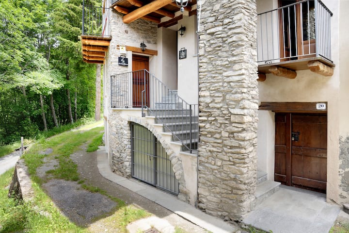 Arnica Tano Di Grich - Sampeyre