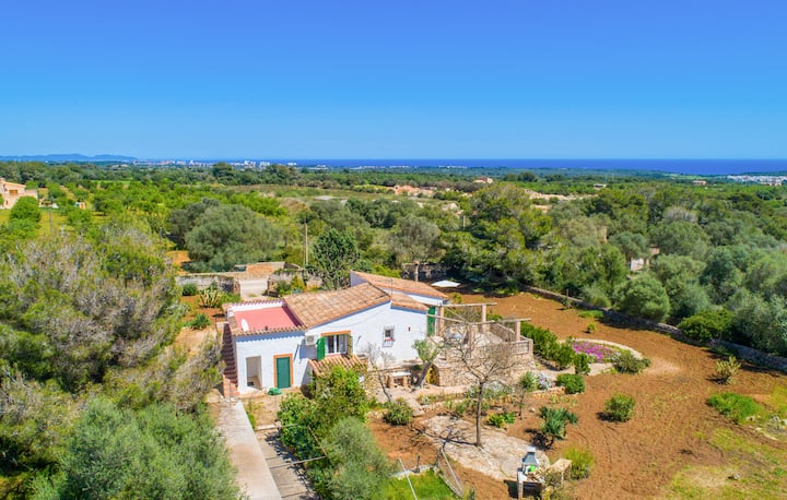 Sa Caseta De Portocolom - Portocolom