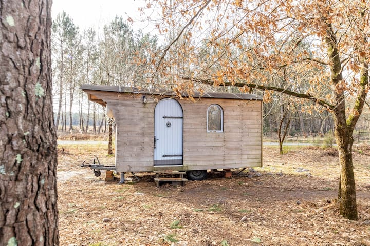 La Roulotte Des Chouchous - Hourtin