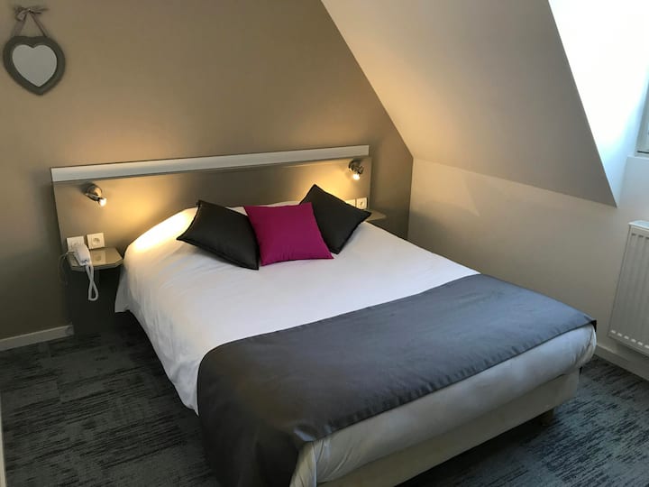 Hôtel De L'ill - Standard  Room With Breakfast - Strasbourg