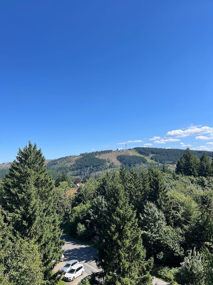 Bocksberg Horizont (297876) - Goslar