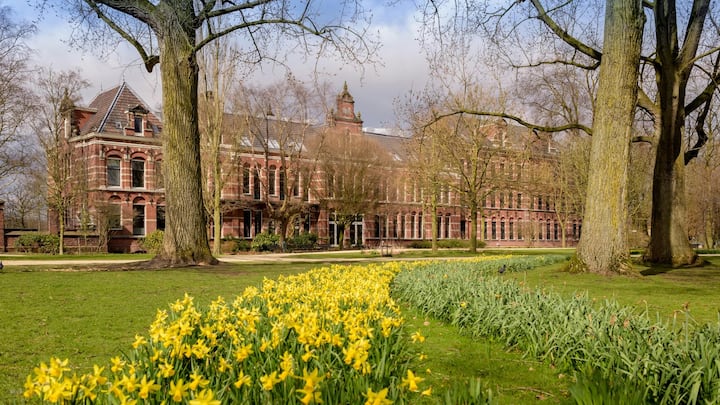 Compact  Small Room At Conscious Hotel Westerpark - Amsterdam