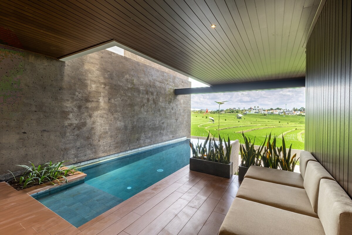 Elite 3BR Canggu | Tranquil Pool & Paddy View - Villas for Rent in ...