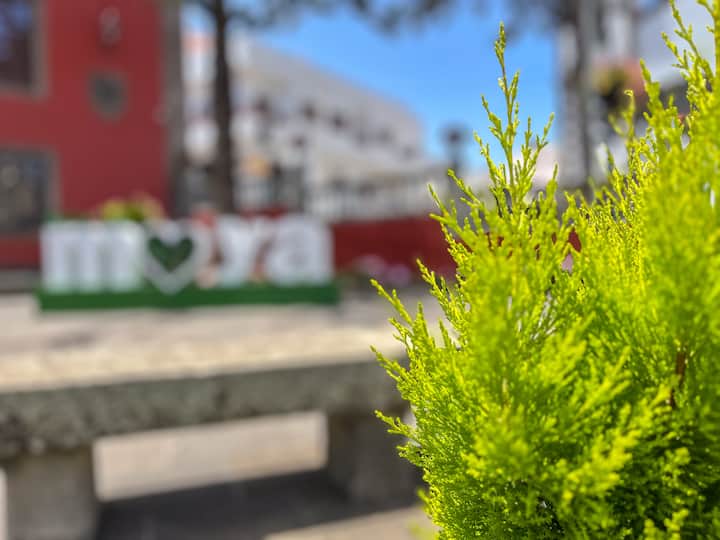 3 Suites Simón Millán - Heart Of Moya - Sardina