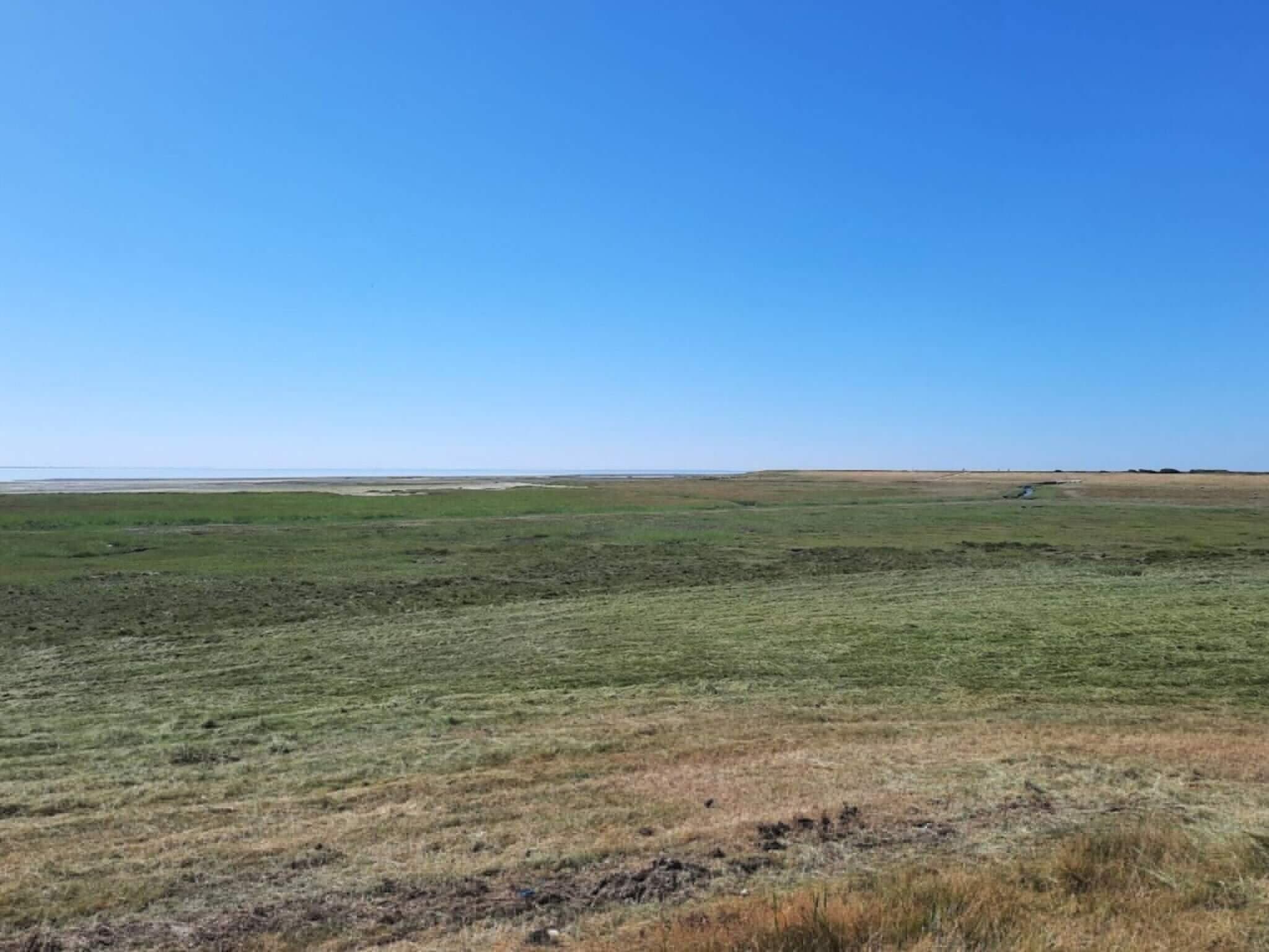 Maison De Vacances Pour 2 A Esbjerg V-by Traum - Esbjerg