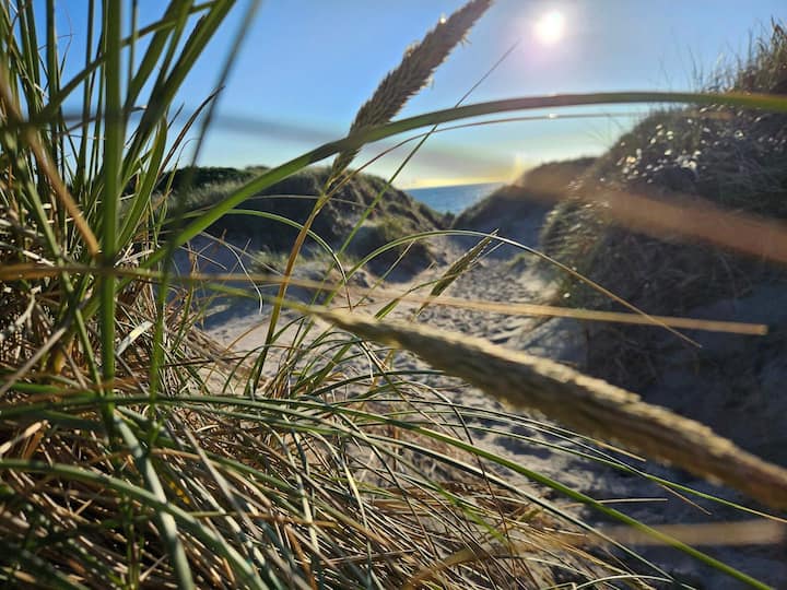 Maison De Vacances Pour 6 A Ringkøbing-by Traum - Søndervig