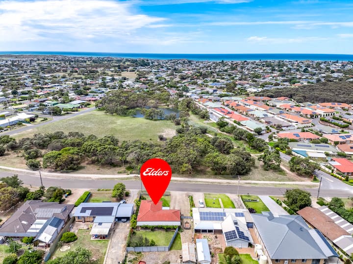 Cockles On Willmett - Goolwa
