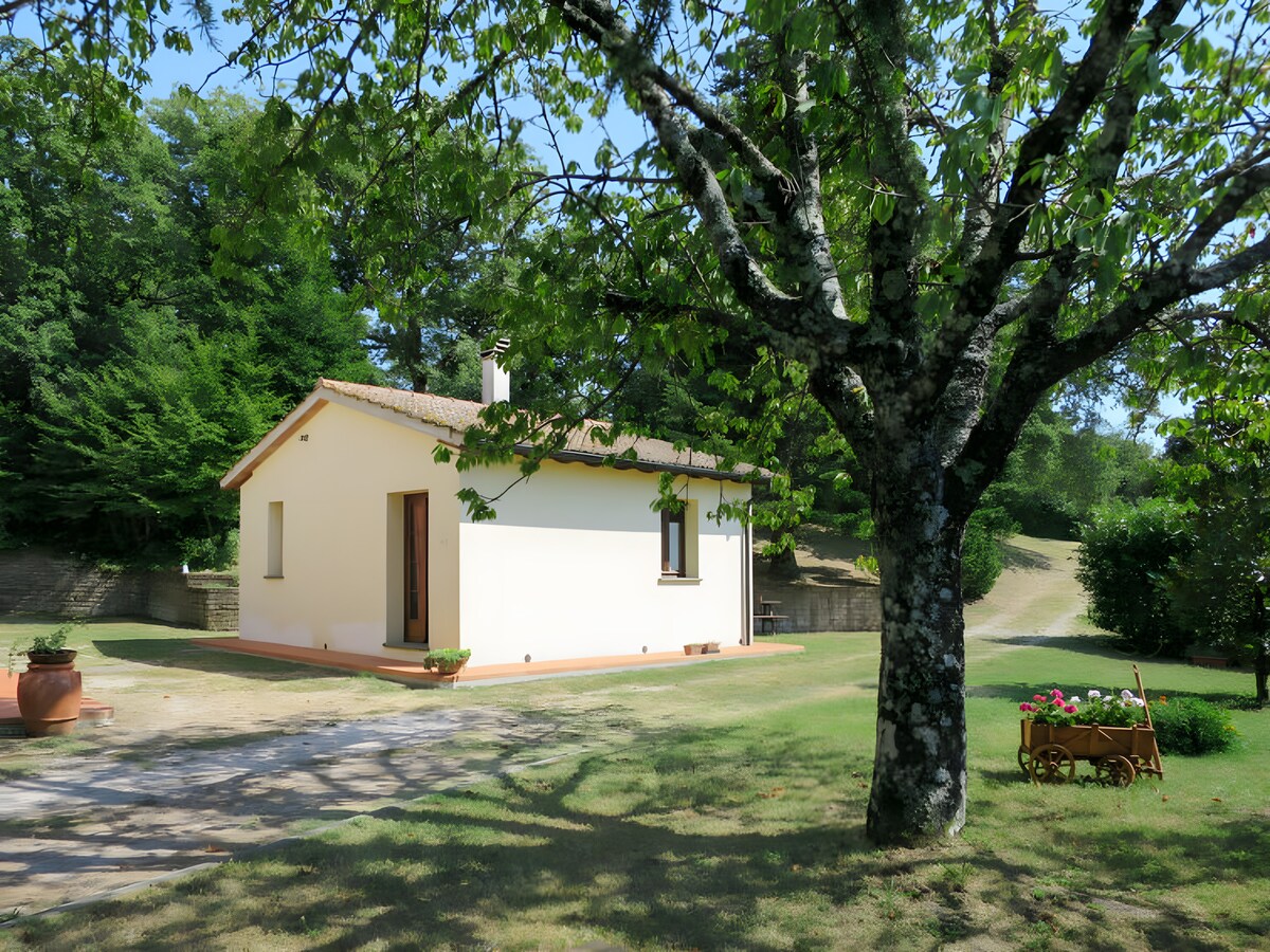 San Michele - Casa Giano para 4 - Departamentos en renta en Montieri ...