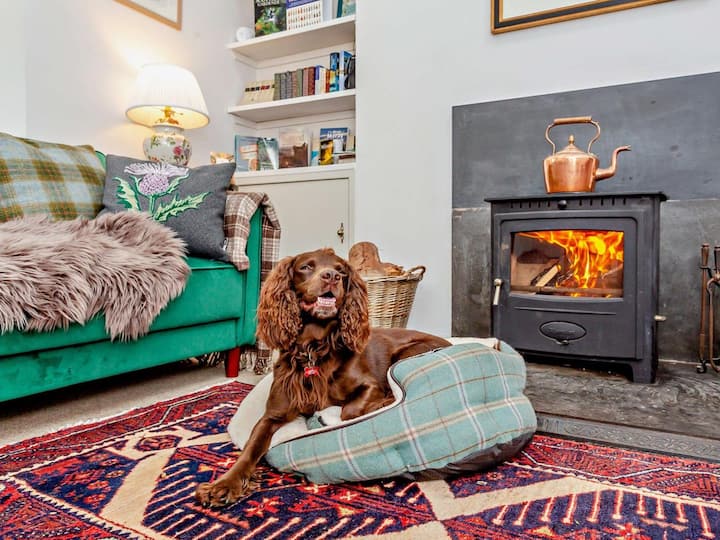 1 Bed In Elgin (Oc-94281) - Elgin