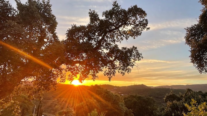 Forest House Oku - Monchique