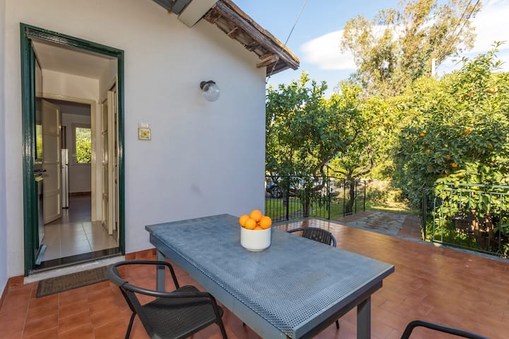 Casa Dell'eucalyptus - Girasole Blu - Acireale