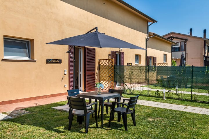 Il Pollino - Lavanda - Marina di Grosseto