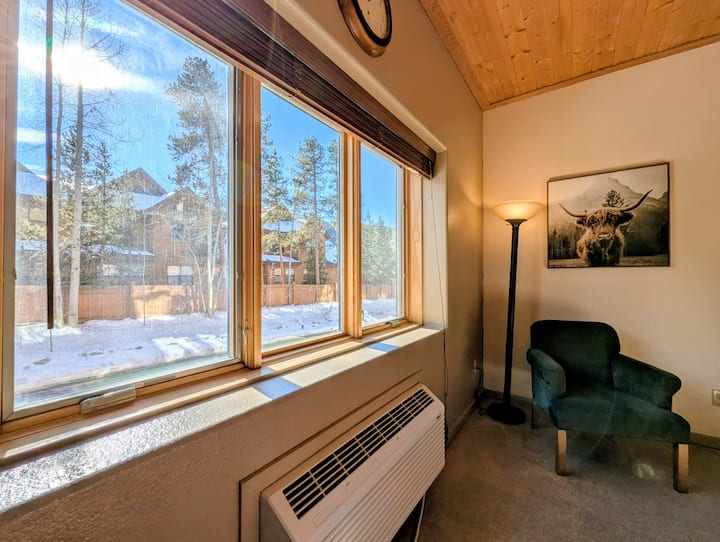 New Listing /Updated Studio, Central To Summer Fun - Dillon, CO