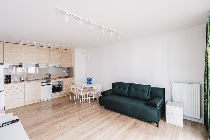 Lubicka 69 Urban Retreat Apartment - Toruń