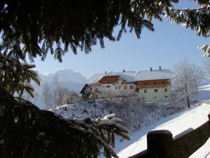 Waldpension In Steinfeld By Interhome - Weissensee