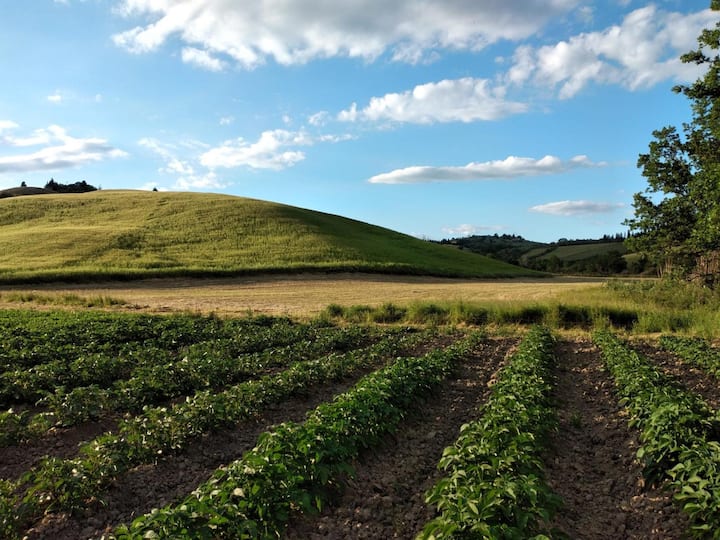 Agriturismo Poggio Ai Legni - Certaldo