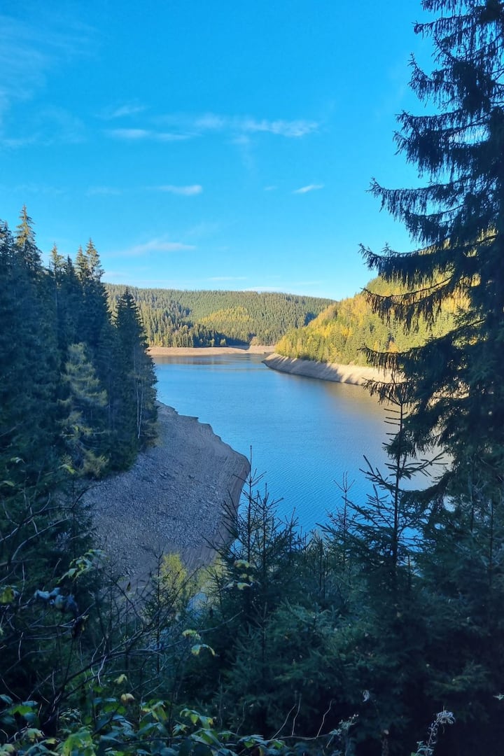 Landhaus  Schneekopf By Interhome - Oberhof