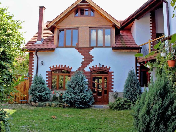 Casa Crina - Rustikale Ferienvilla In Siebenbürgen - Miercurea Sibiului