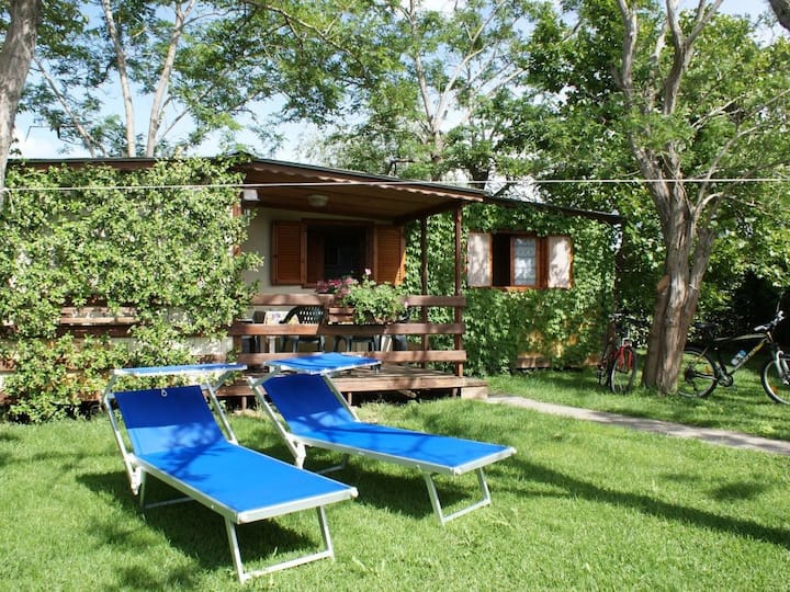 Haus Jasmin By Interhome - Castagneto Carducci