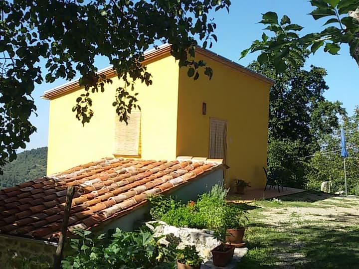 Kleines Feines Helles Appartment Im Gruenen Mit Me - Sapri