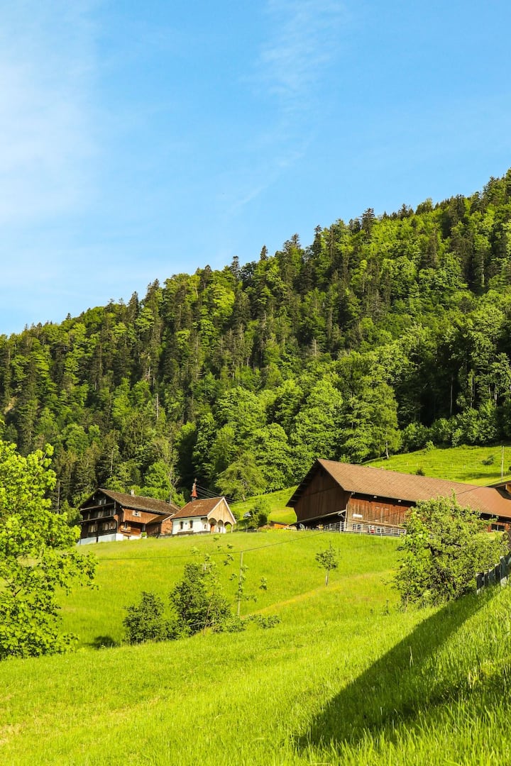 Biohof Langberg By Interhome - Morschach