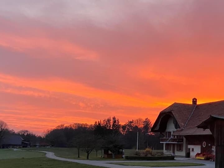 La Ferme By Interhome - Fribourg