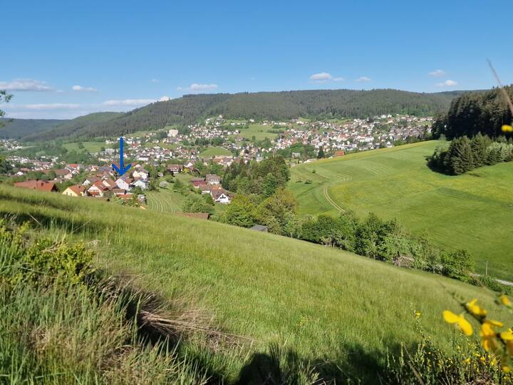 Schwarzwald Idylle By Interhome - Baiersbronn
