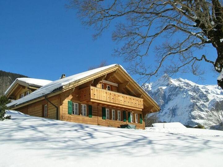 Chalet Herrschaft 4 Bett Wohnung By Interhome - Grindelwald