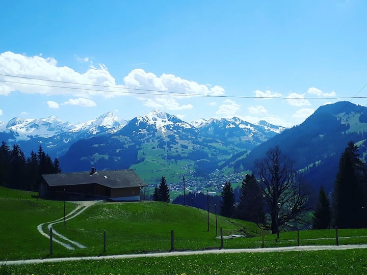 Ferienwohnung Mit Bergpanorama By Interhome - Zweisimmen