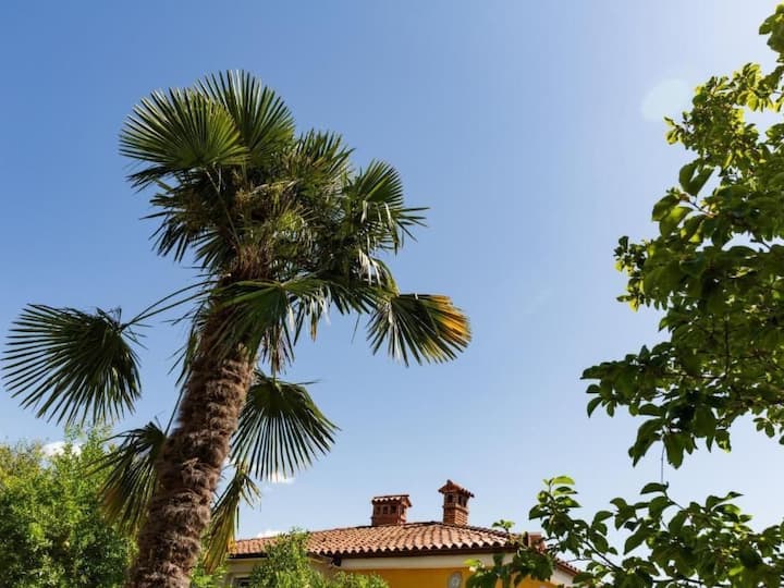 Wohnung In Lucija Mit Garten By Interhome - Lucia