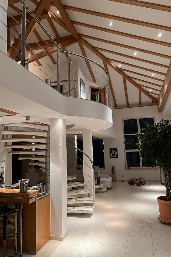 Luxus Ferien-loft Atrium -X- By Interhome - Winterthur