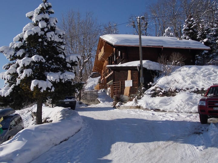 Fewo Zenger-jossi By Interhome - Hasliberg