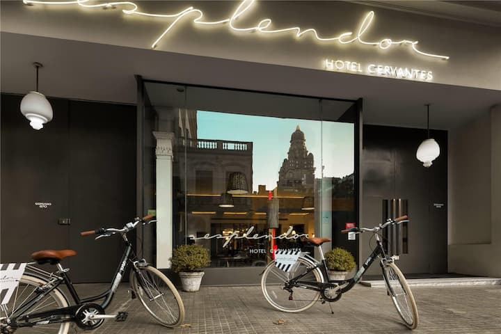 Esplendor Cervantes | Queen Concept | Exhibits - Montevideo